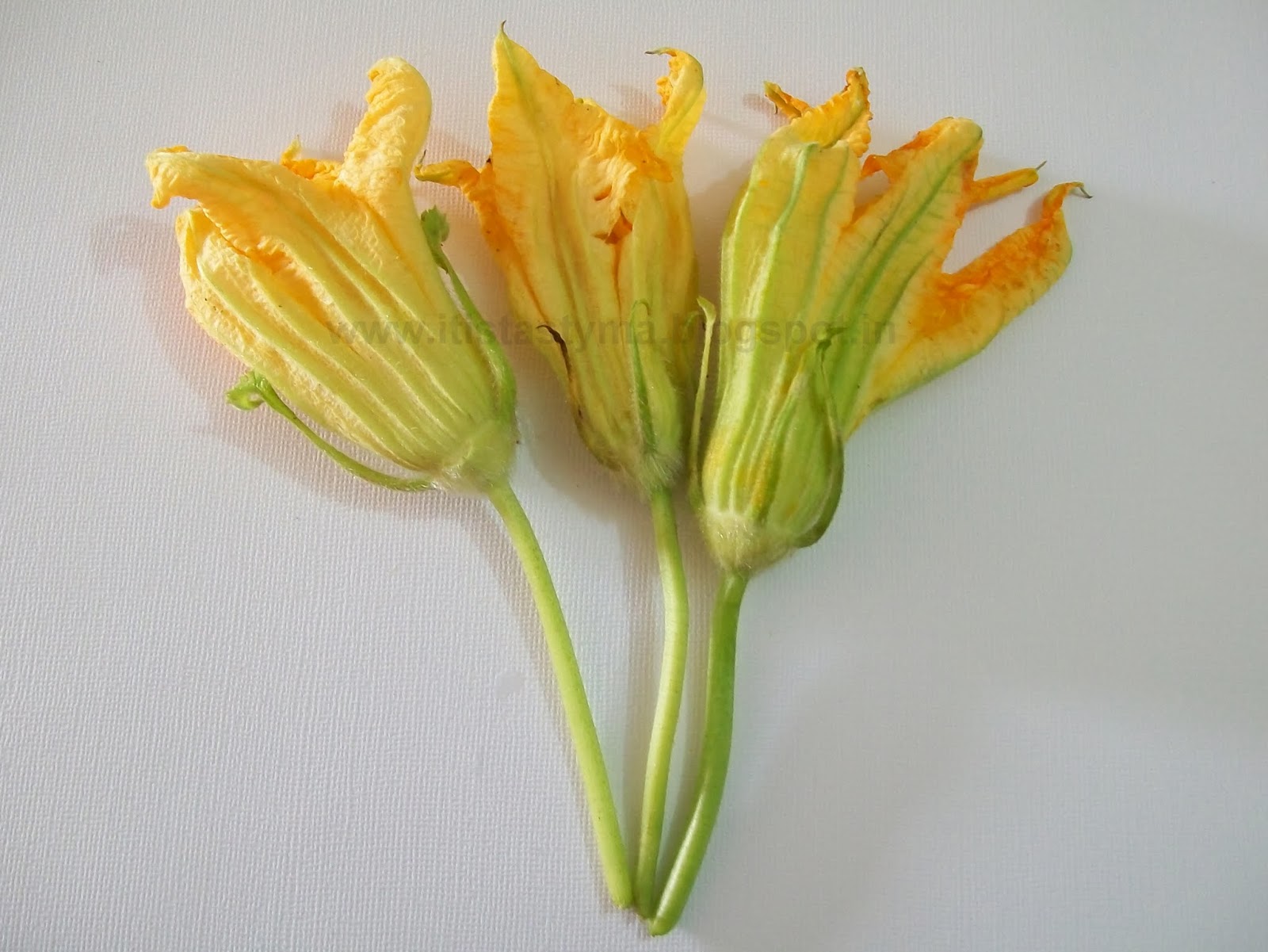 It is tasty ma!: Pumpkin Flower Fritters (Kumro Phooler Bora ...