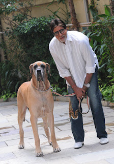 Bollywood Dogs - Find pictures and stories of your favourite Bollywood ...