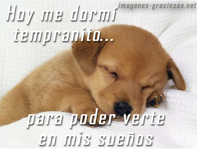 Tiernas imagenes de amor - Imagenes de amor - Imagenes tiernas ...