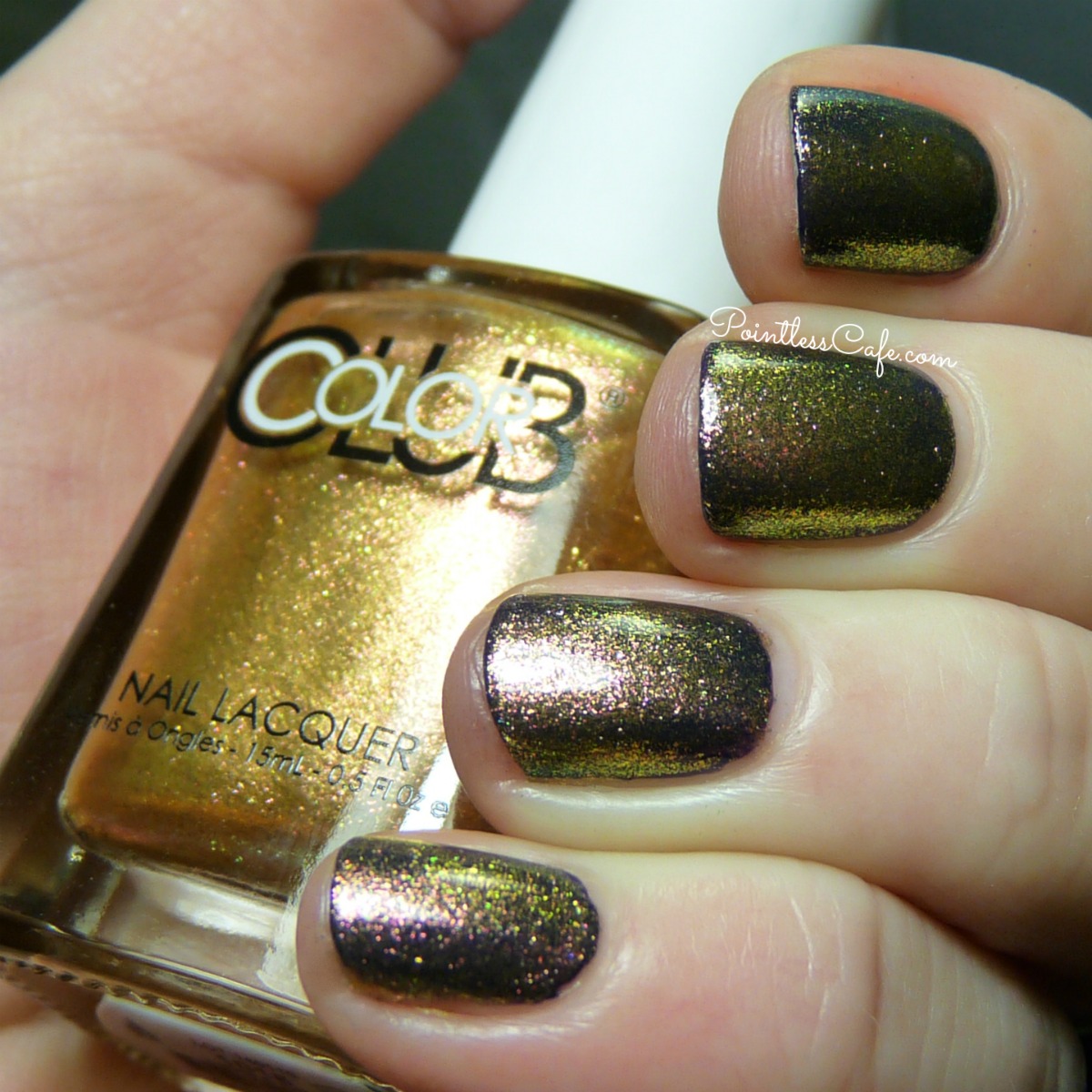 Color Club Safari Garden Collection for Spring 2014 | Pointless Cafe