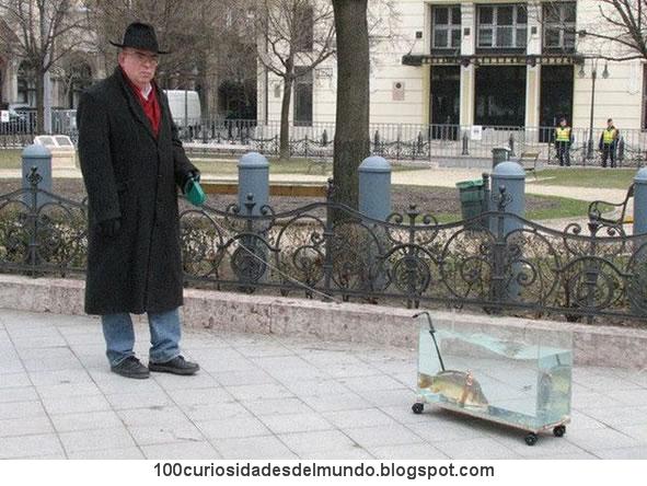 Curiosidades del Mundo: Las 10 fotos e imágenes más curiosas, raras y ...