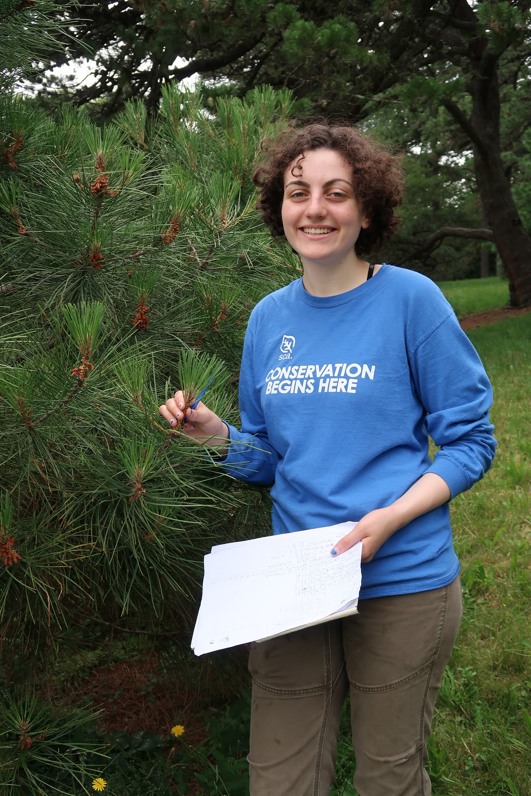 Climate change research in partnership with Thoreau: June 2018