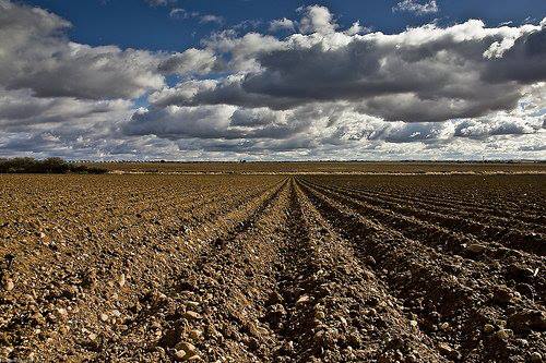 Ministerio Filadelfia: HACIENDO BARBECHO