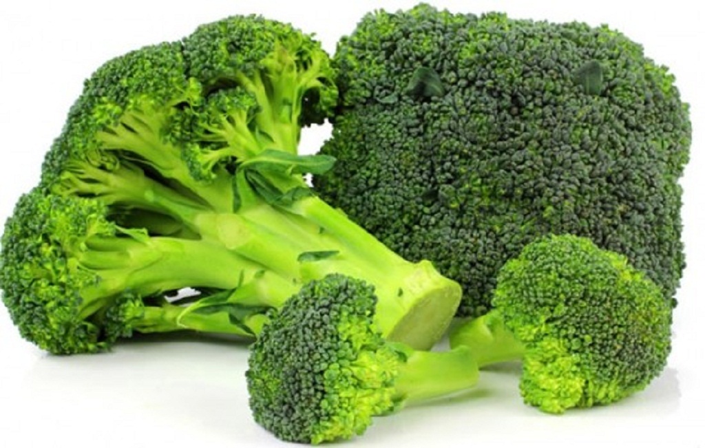 Introdução e Botânica do Brócolis