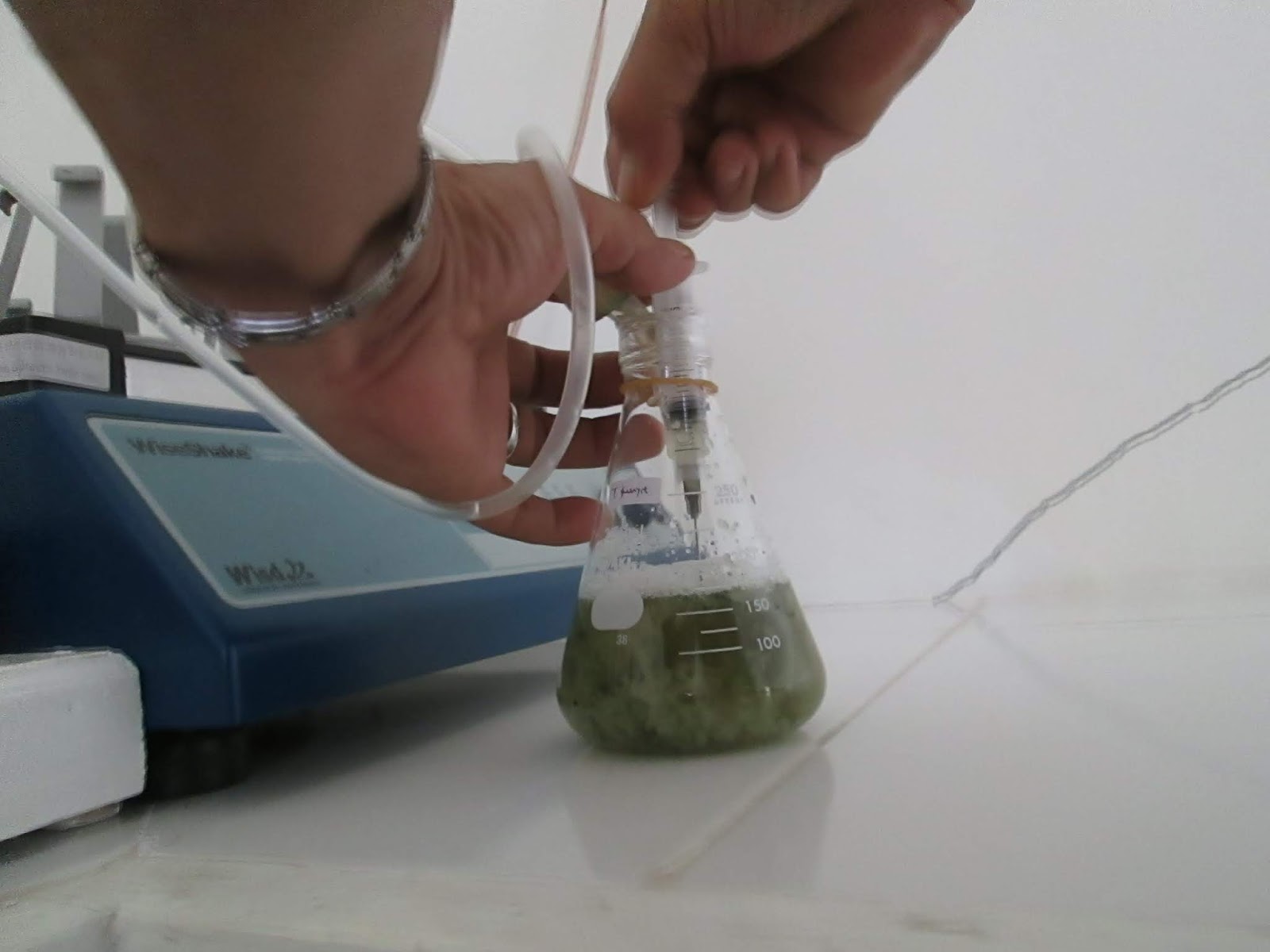 BIOLOGICAL CONTROL: PERBANYAKAN Trichoderma sp. PADA MEDIA CAIR