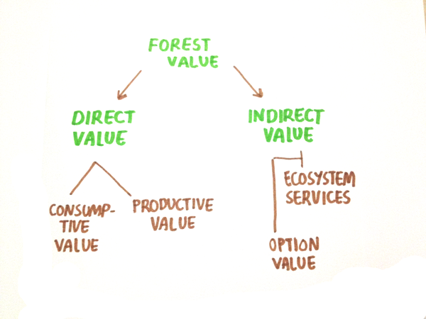 dynta trishana: What The Meaning of Forests to You