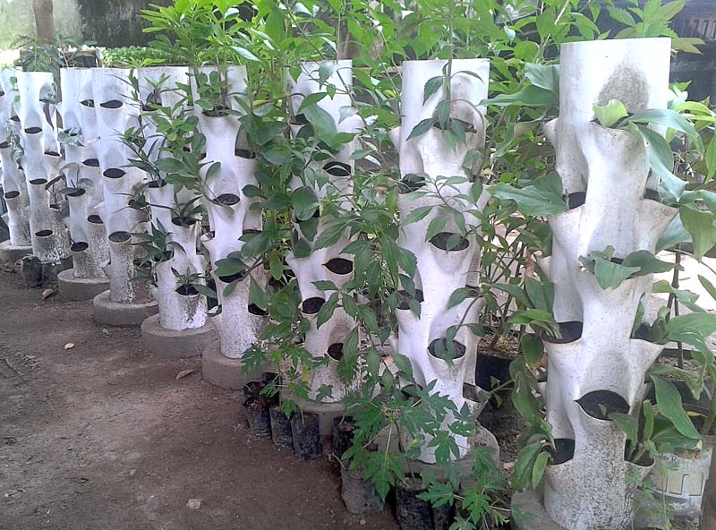 16+ Rak Tanaman Dari Pipa Pvc, Spesial!