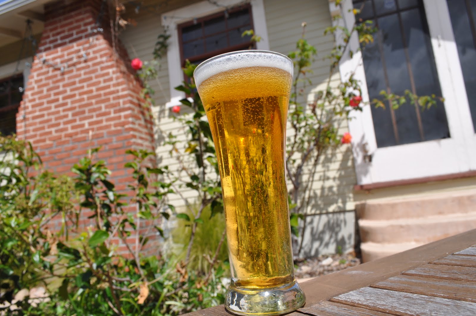 1227 Brewing: Pils-German Pilsner