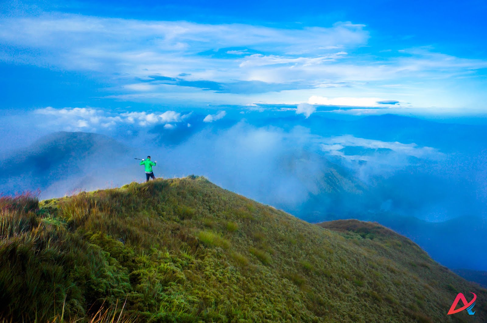 Mount Pulag "feels like heaven"