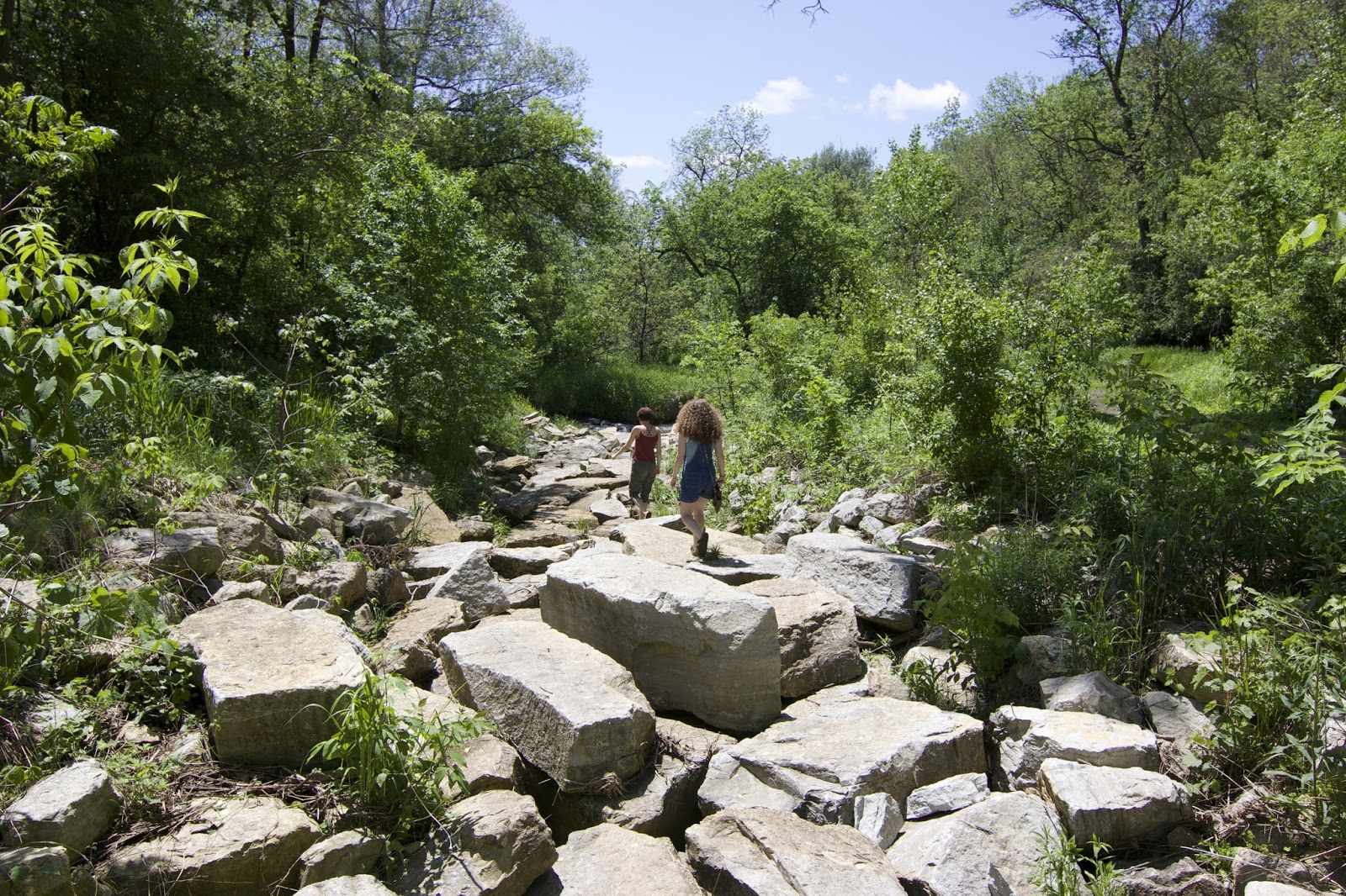 Russman's spot: Quarry Hill Nature Center