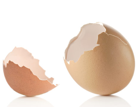 Benefit Of Plants: Eggshell For Beauty Face