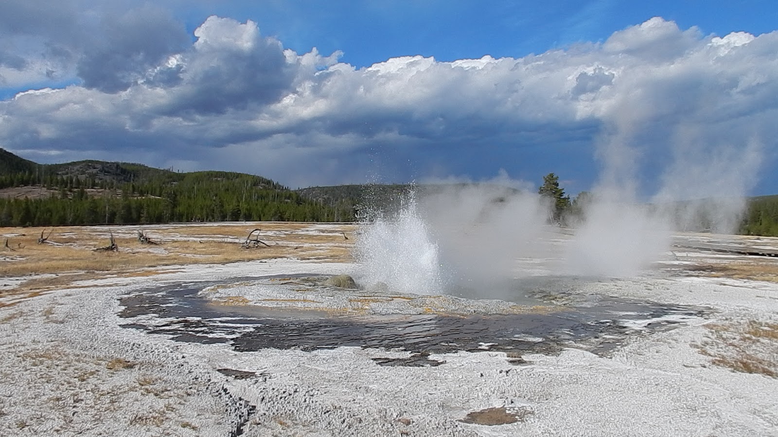 out on the big limb: Yellowstone rocks!