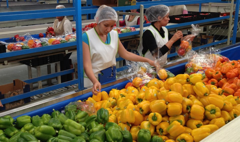 Blog de información de Etzatlán: Certifican a DIVEMEX en Comercio Justo ...