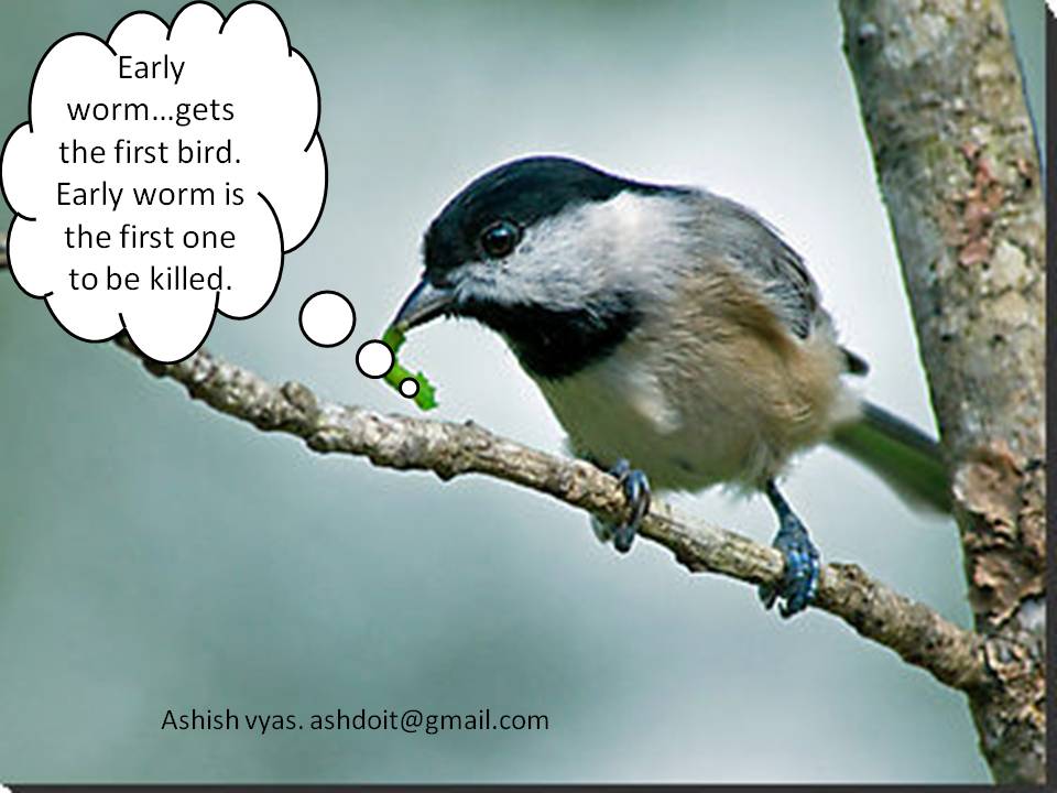 a million sperms: Early worm, gets the first bird. Ahh...the perils of ...