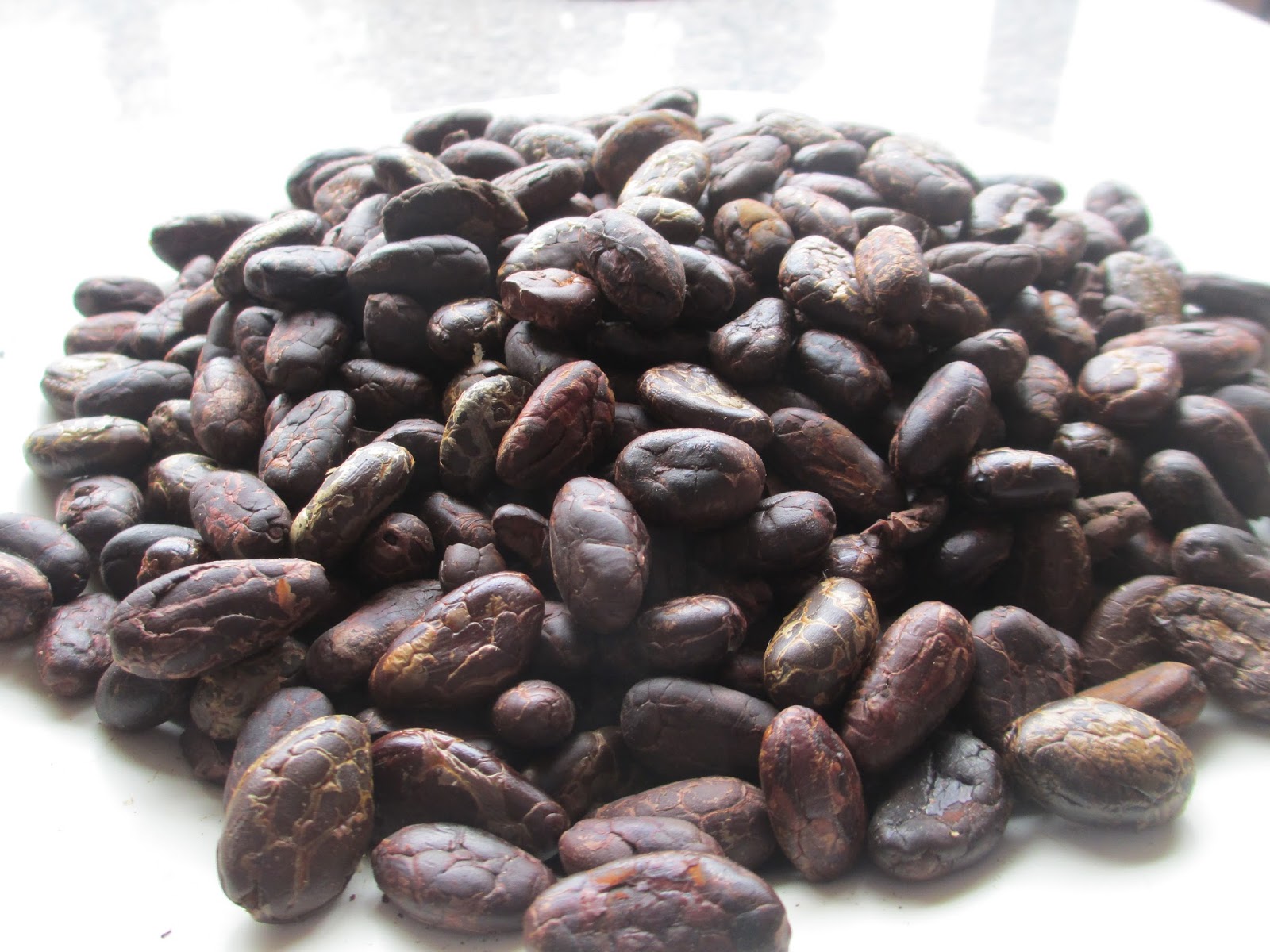 Pachamama Spectrum of Treasures: "Making Chocolate" - transforming the ...