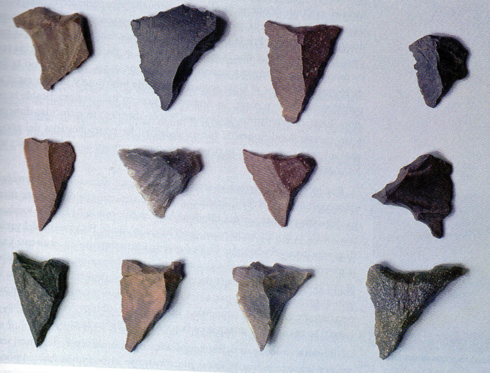 CuénabresA.C.Díaz-Caneja: LA PREHISTORIA: LA CUEVA DEL ESPERTÍN