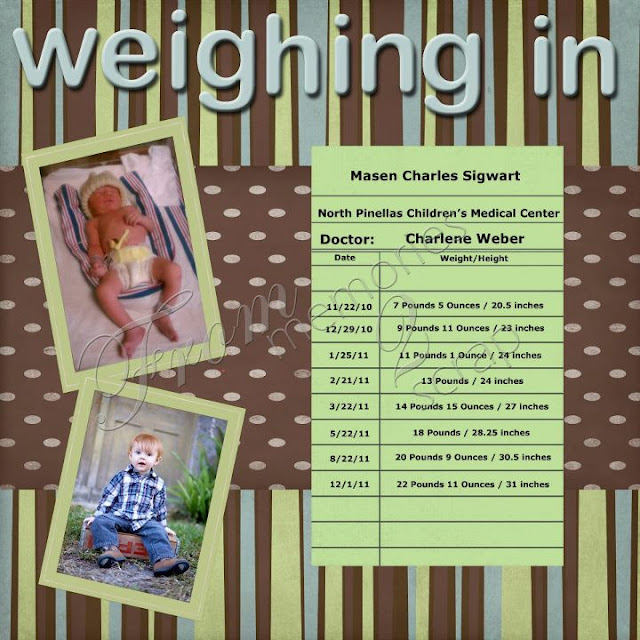 From Memories 2 Scrap: Tutorial: DIY Growth Chart -- Less than $10!