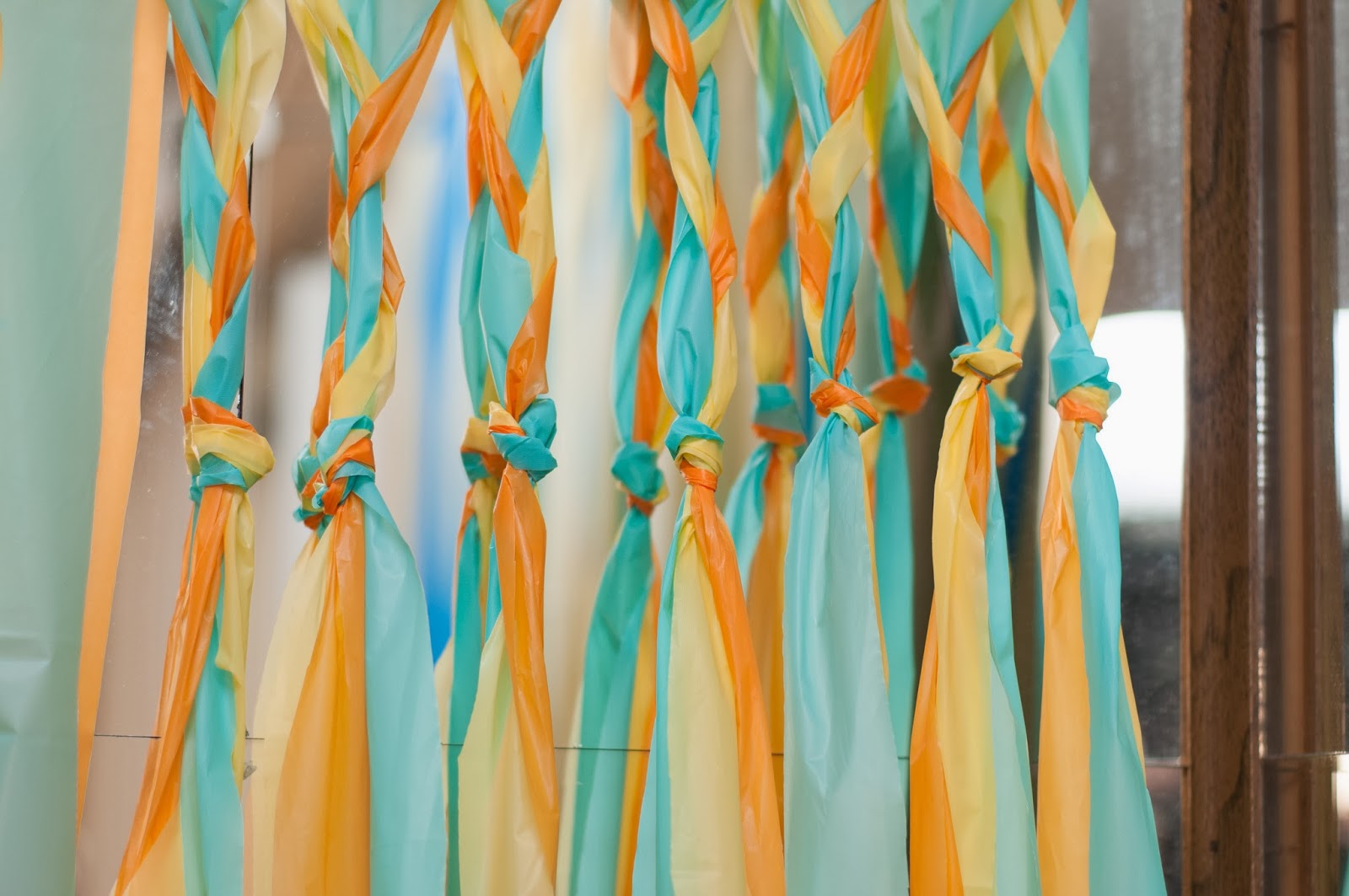 Tia Stout Photography: DIY photo backdrop for $3