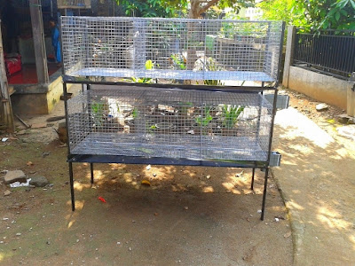 Gambar kandang kelinci Lengkap | Tips info Peternakan Kelinci Holland ...