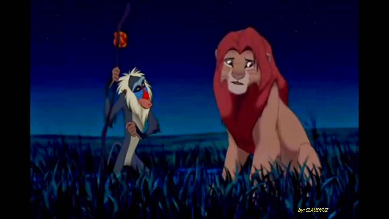 De la Cinta a lo Cotidiano: El rey león