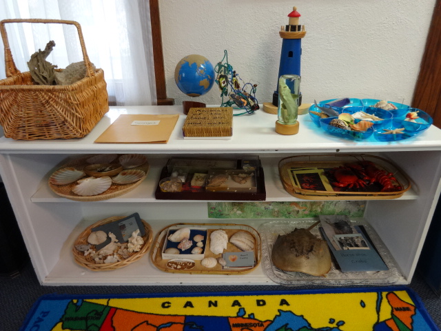 Inspired Montessori, Reggio Loose Parts, and Children's Art : Ocean Designs