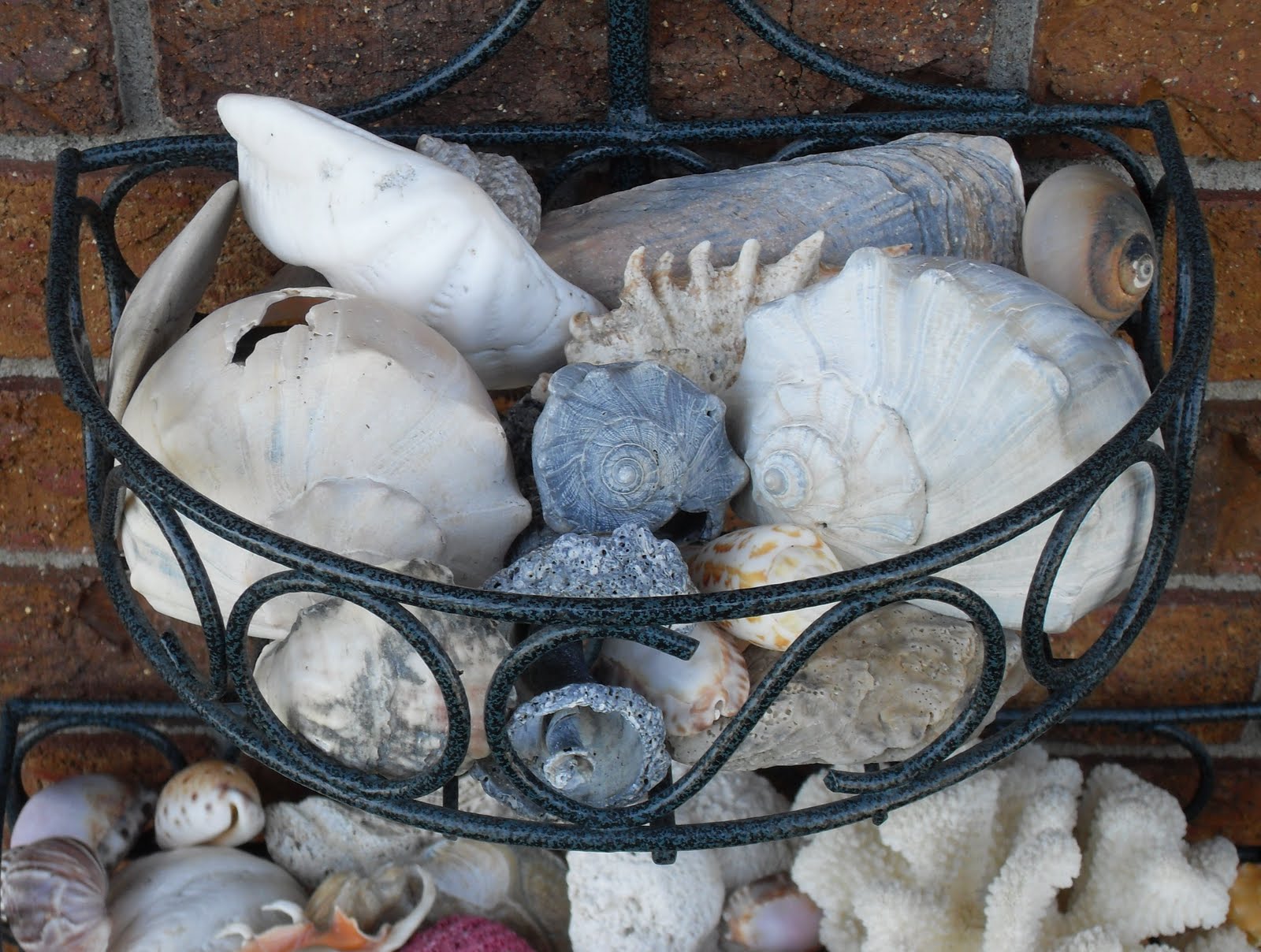 Heart Song: Sea Shells and Lavender Bells