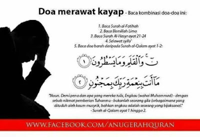 LuvHaryani: Cara Merawat Kayap Ular