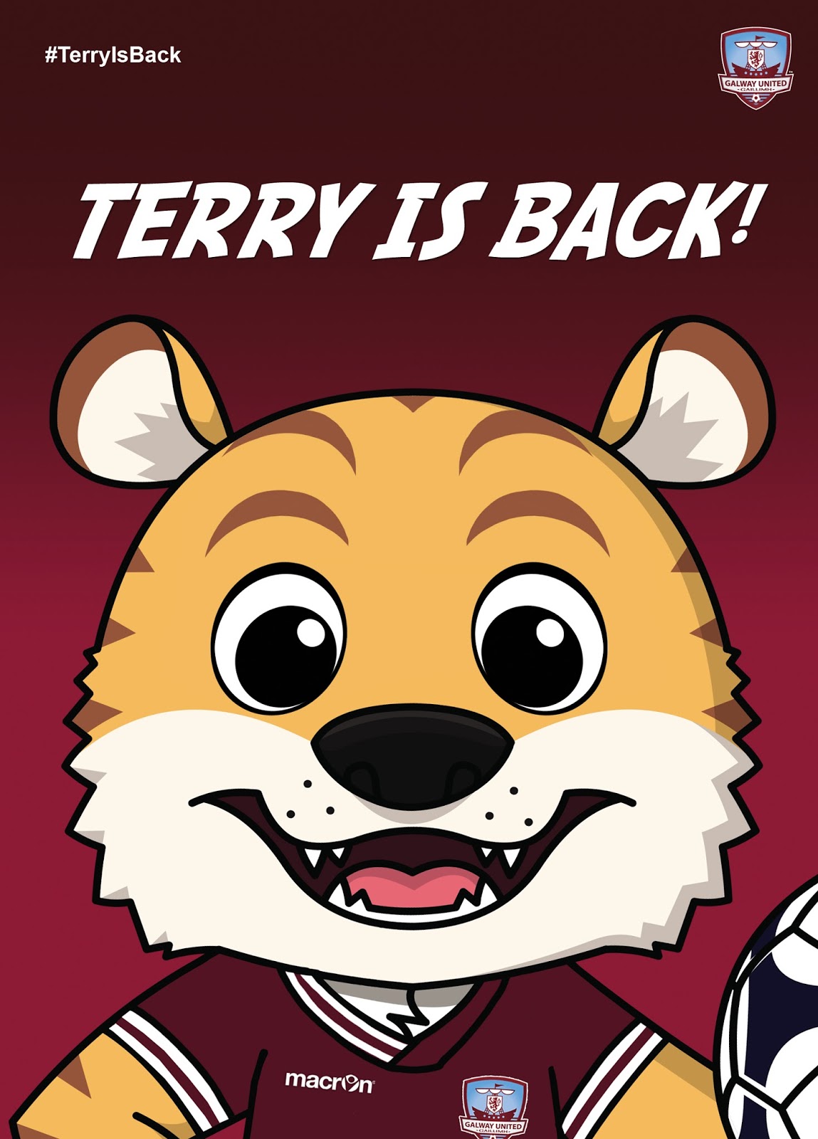 Bringing Terry the Tiger Home