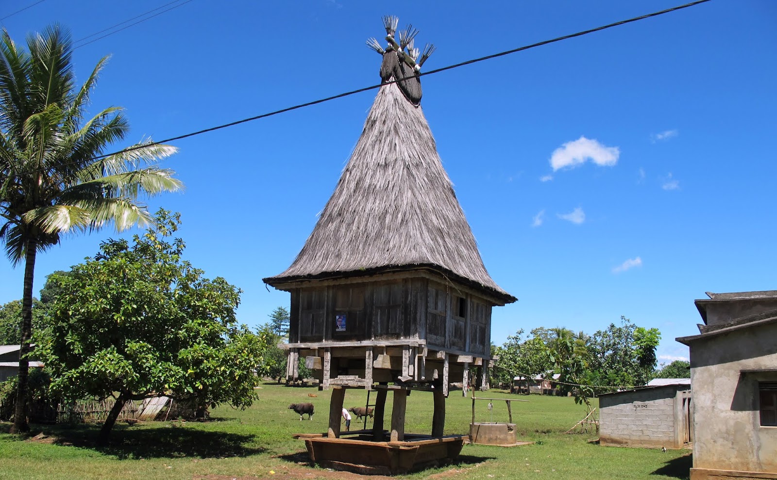 Voo de ligação: Casa Típica de Timor