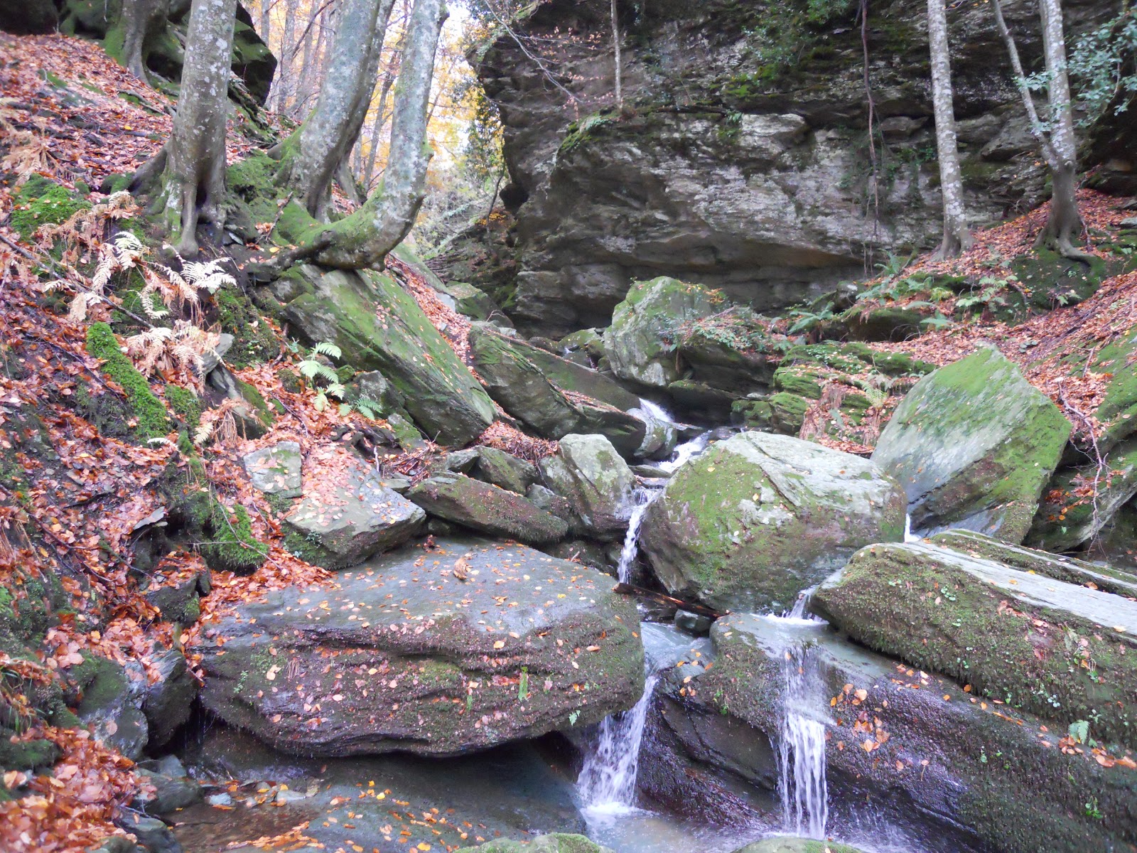 Walking in Pelion: Veneto-Flamouri monastery-Ano Kerasia