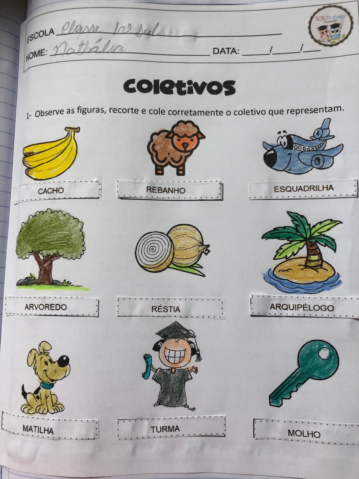 Aprendendo os Coletivos - SOS Professor