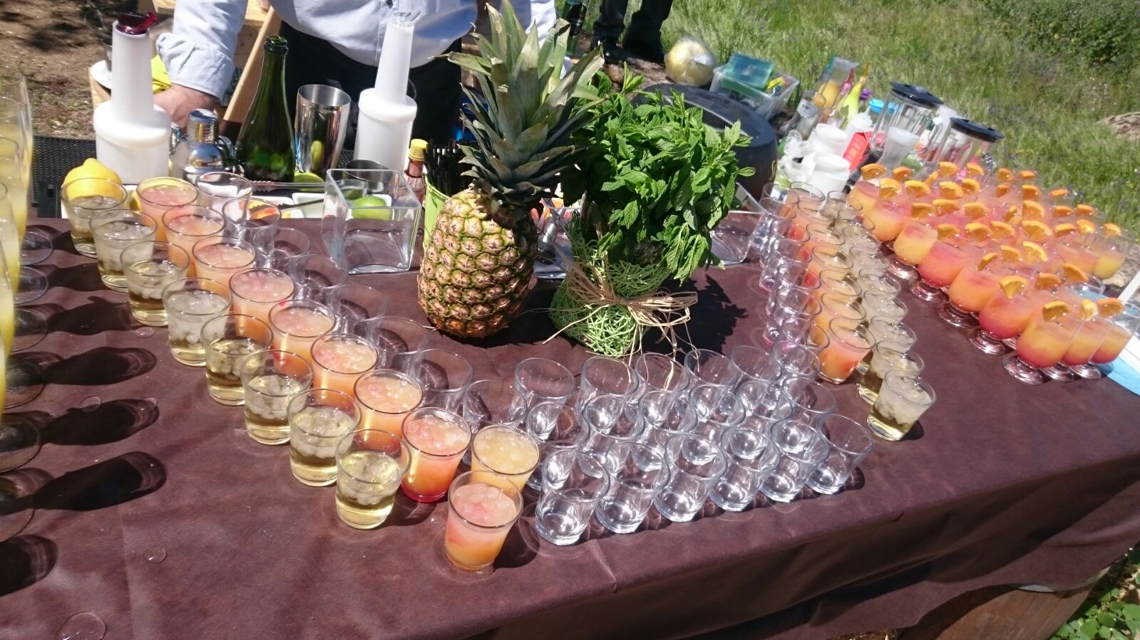 COCKTAILS & EVENTS: COCKTAIL DE BIENVENIDA