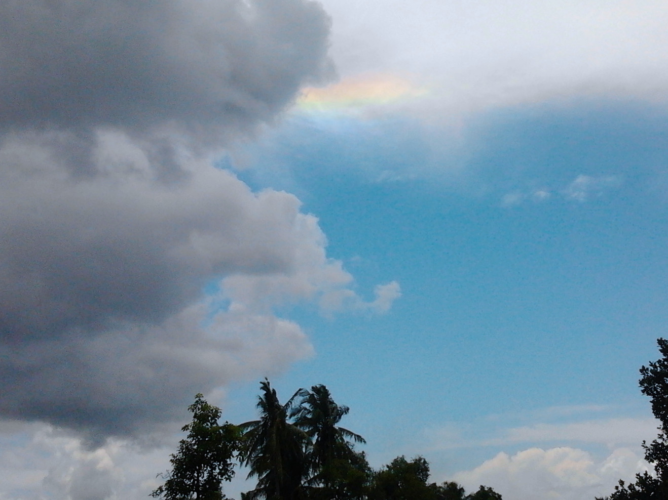 Komunitas Geografi Al Washliyah: Fenomena Pelangi Api di Langit Kota ...