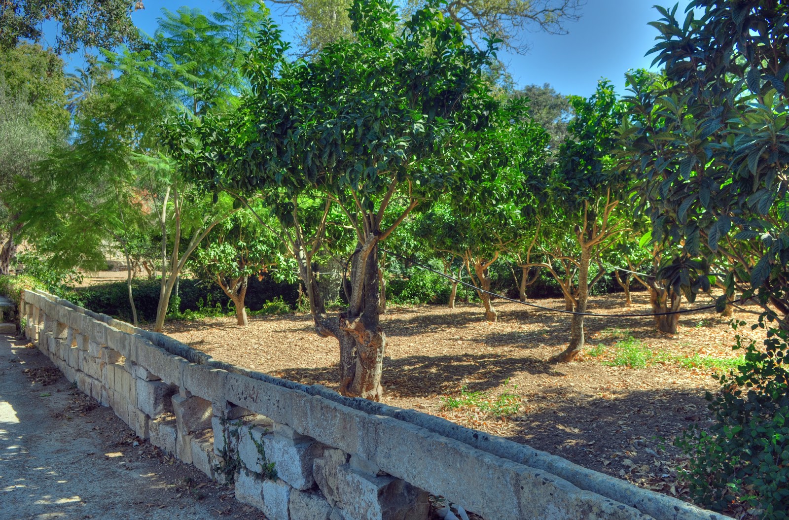 Merill Eco Tours: Explore the richness of Malta's nature and culture ...