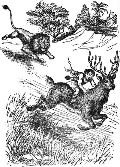 Mythology and Folklore UN-Textbook: Jewish Fairy Tales: From Shepherd ...