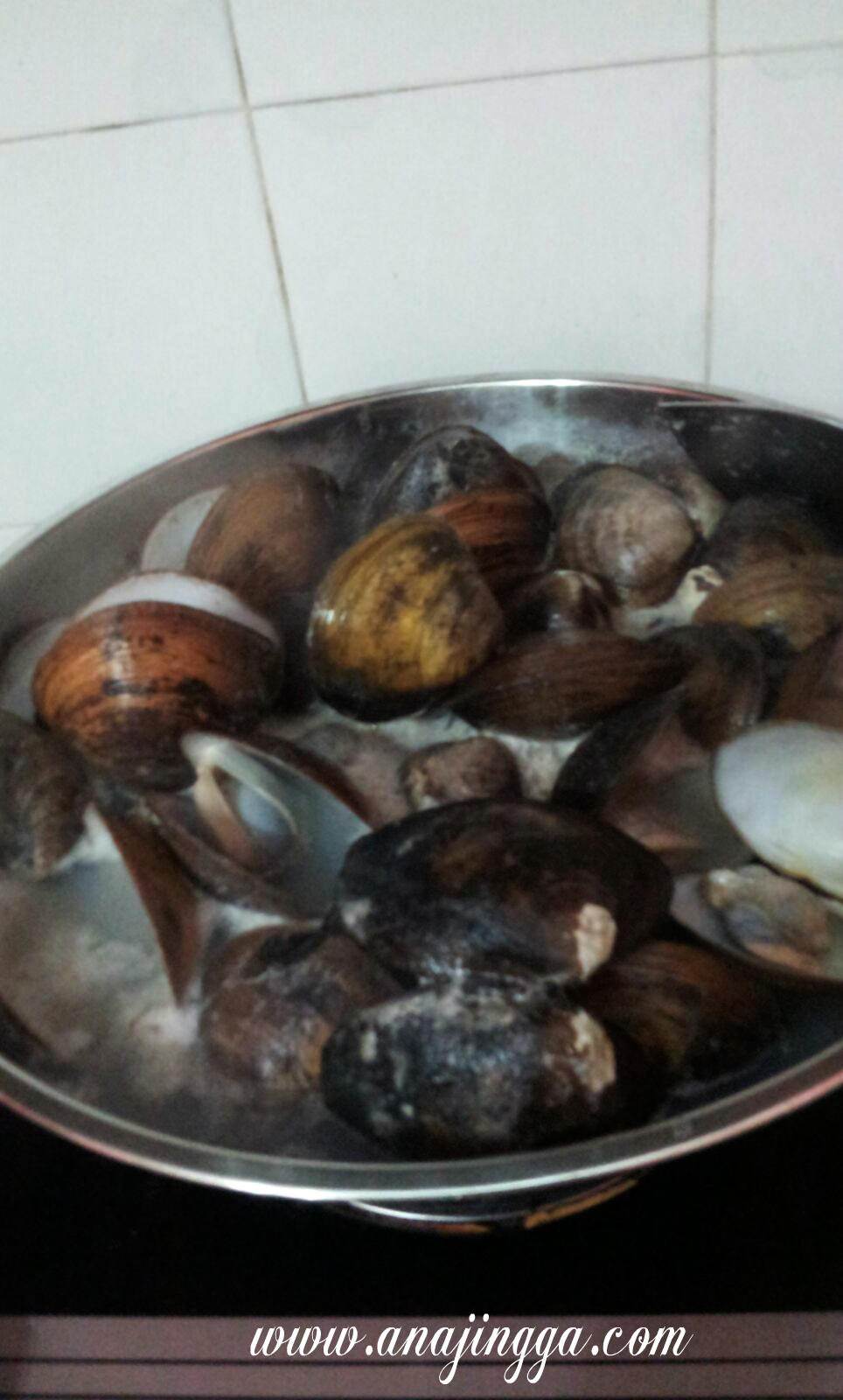 Pertama Kali Makan Lokan