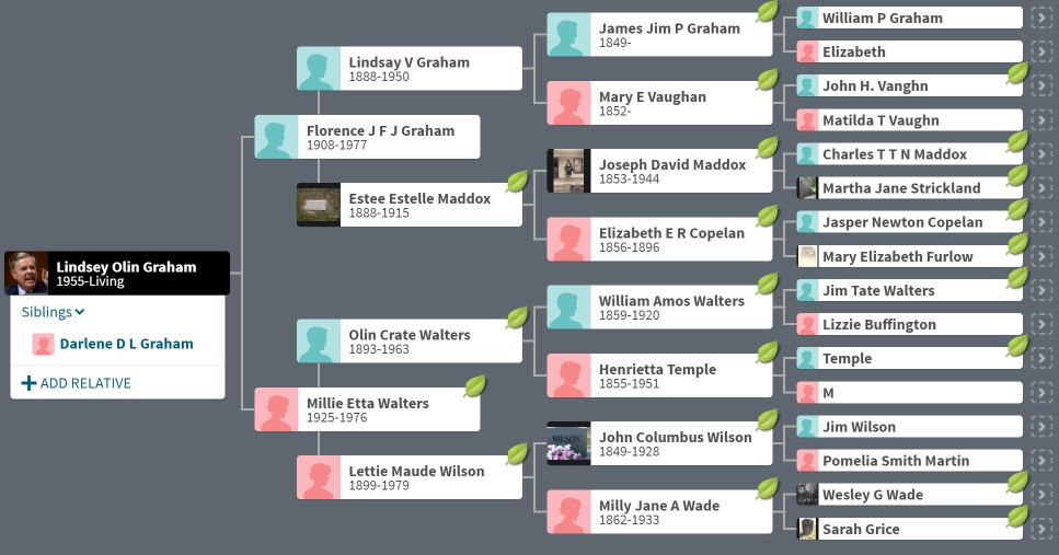 Is Lindsey Graham Iranian? Let's check out his DNA results, family tree ...