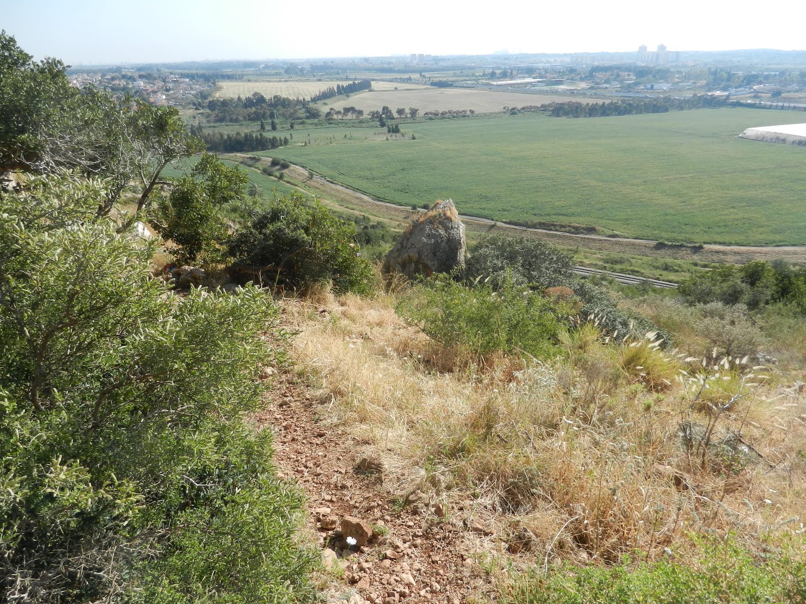 Cleveland Hiking Club Israel Trip 2016: Climbing up the Carmel Ridge