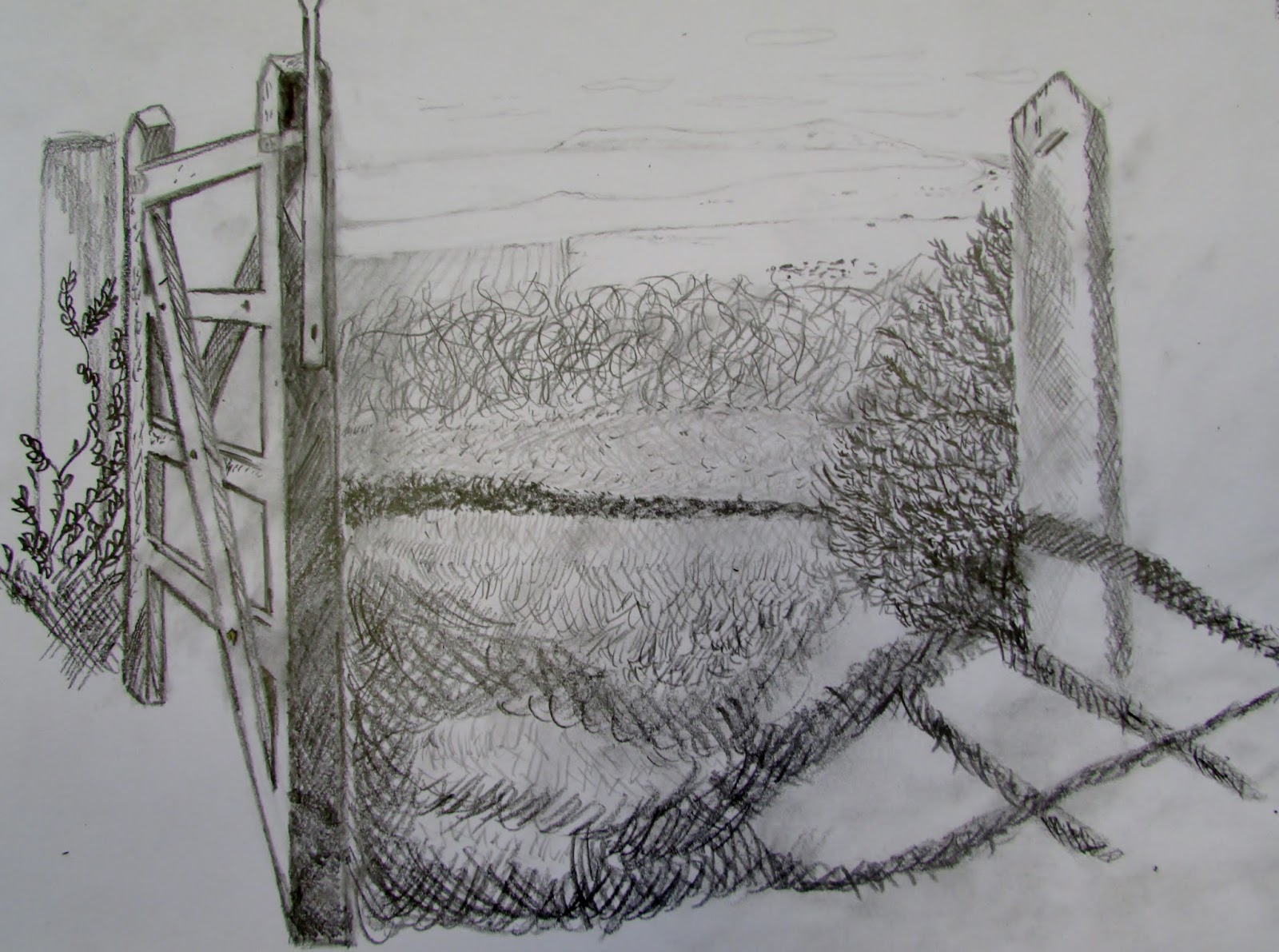 Isle of Wight Art Classes: More Basic Drawing Course - March 2016