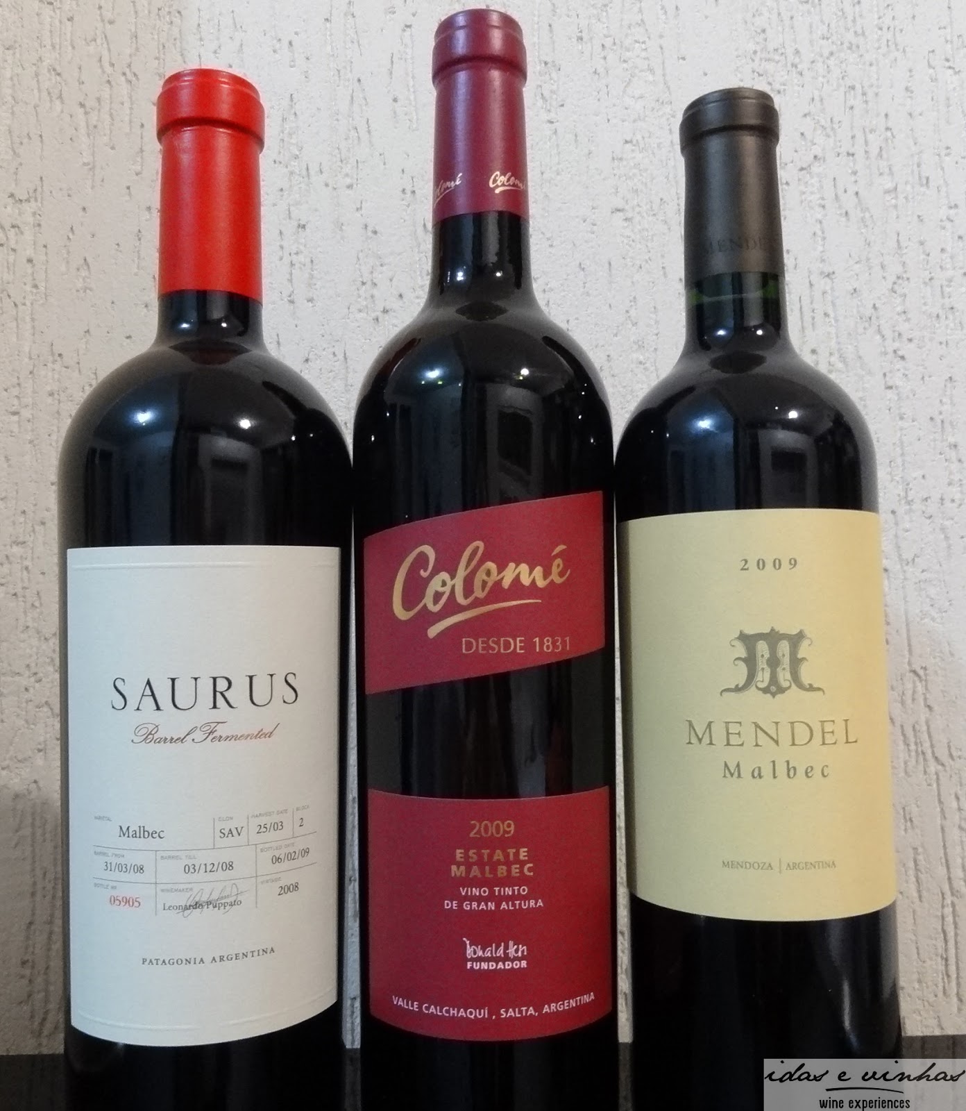 Malbec World Day 2013