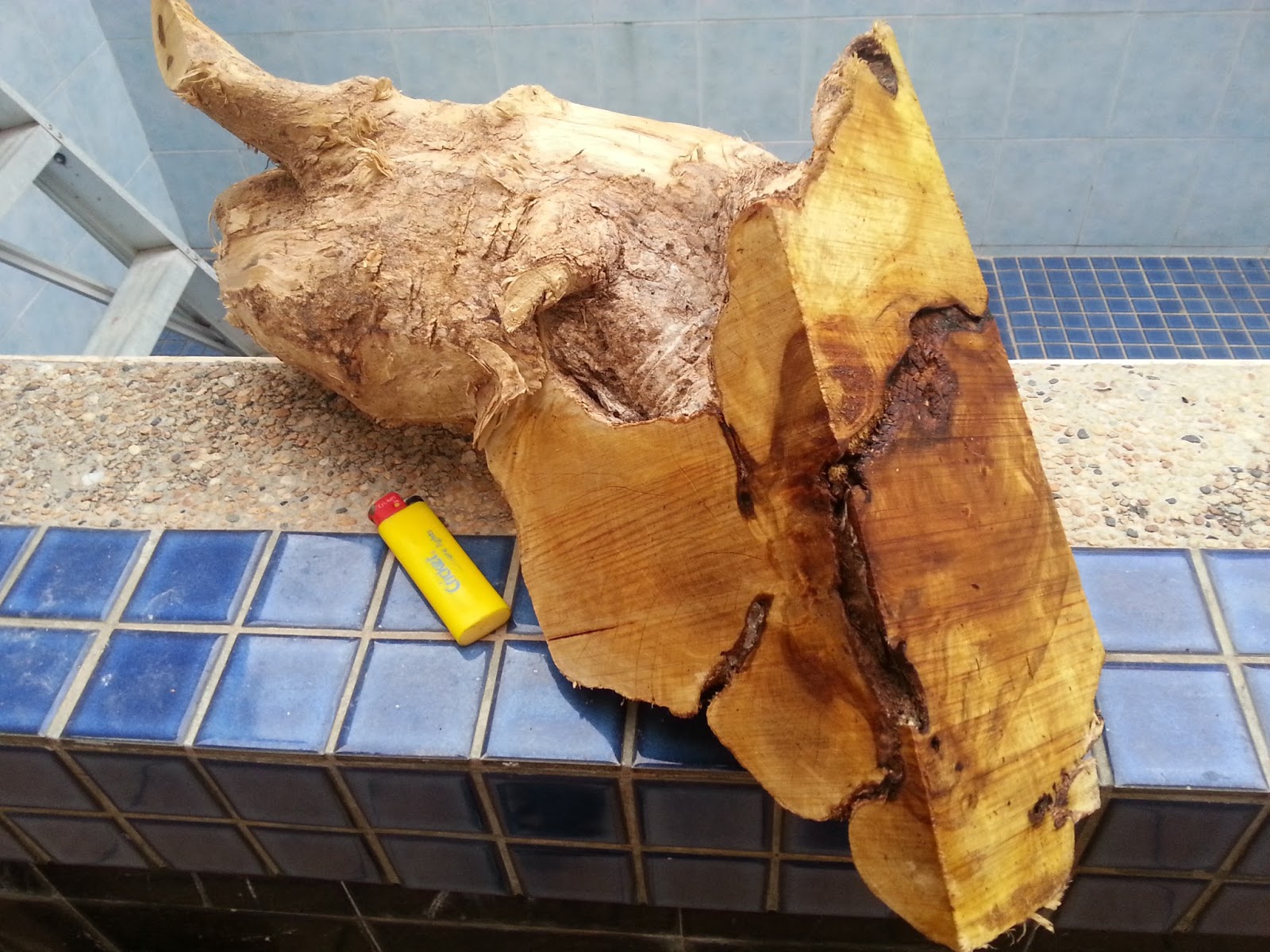 Kayu Warisan Malaysia: Kayu kemuning emas untuk dijual