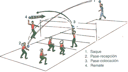 EDUCACION FISICA: ECUAVOLEY
