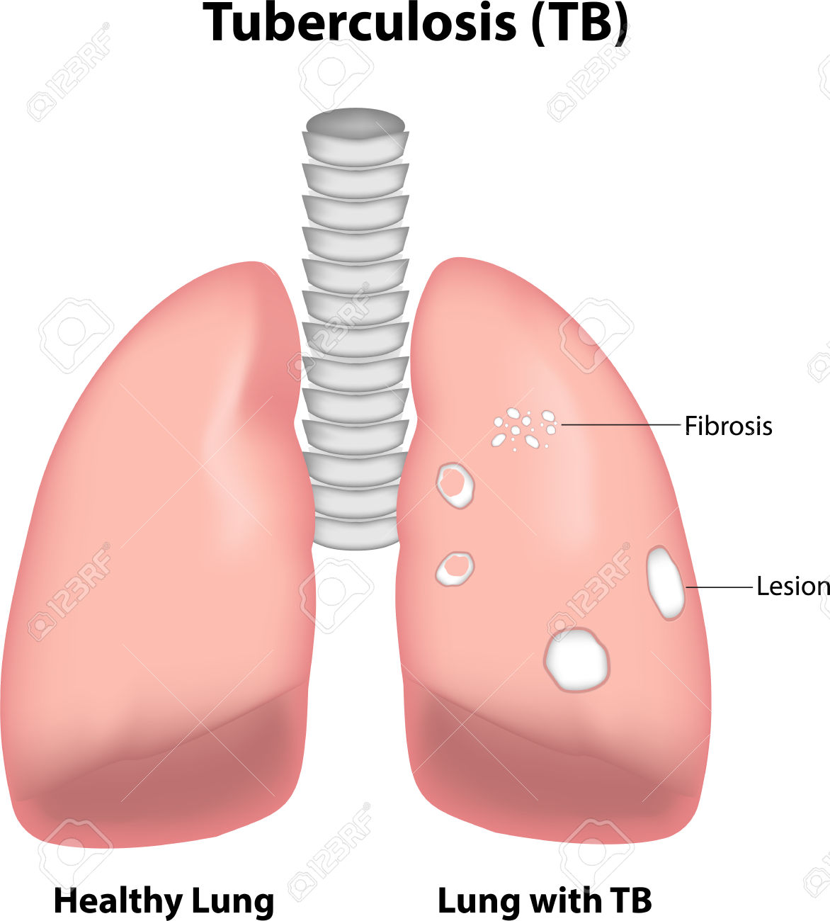 U.A.E Visa Rules and Procedures-Law updates -free legal advice: Major ...
