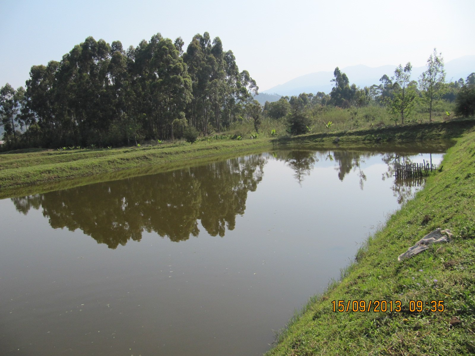 UFUGAJI BORA WA SAMAKI: Ufugaji Mseto wa Sato na Kambale