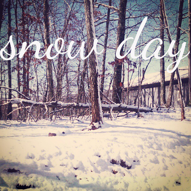 beyond the aisle: snow day
