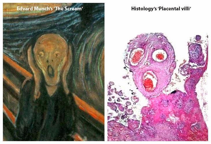 00A.jpg 731×502 pixels | Lab humor, Pathology, Medical laboratory science