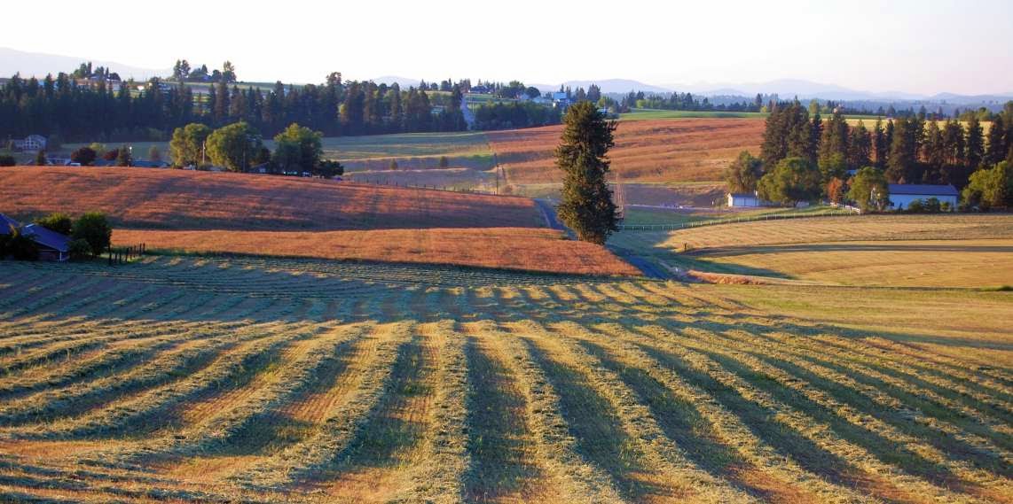 El Derecho real de usufructo: concepto, elementos y régimen jurídico ...