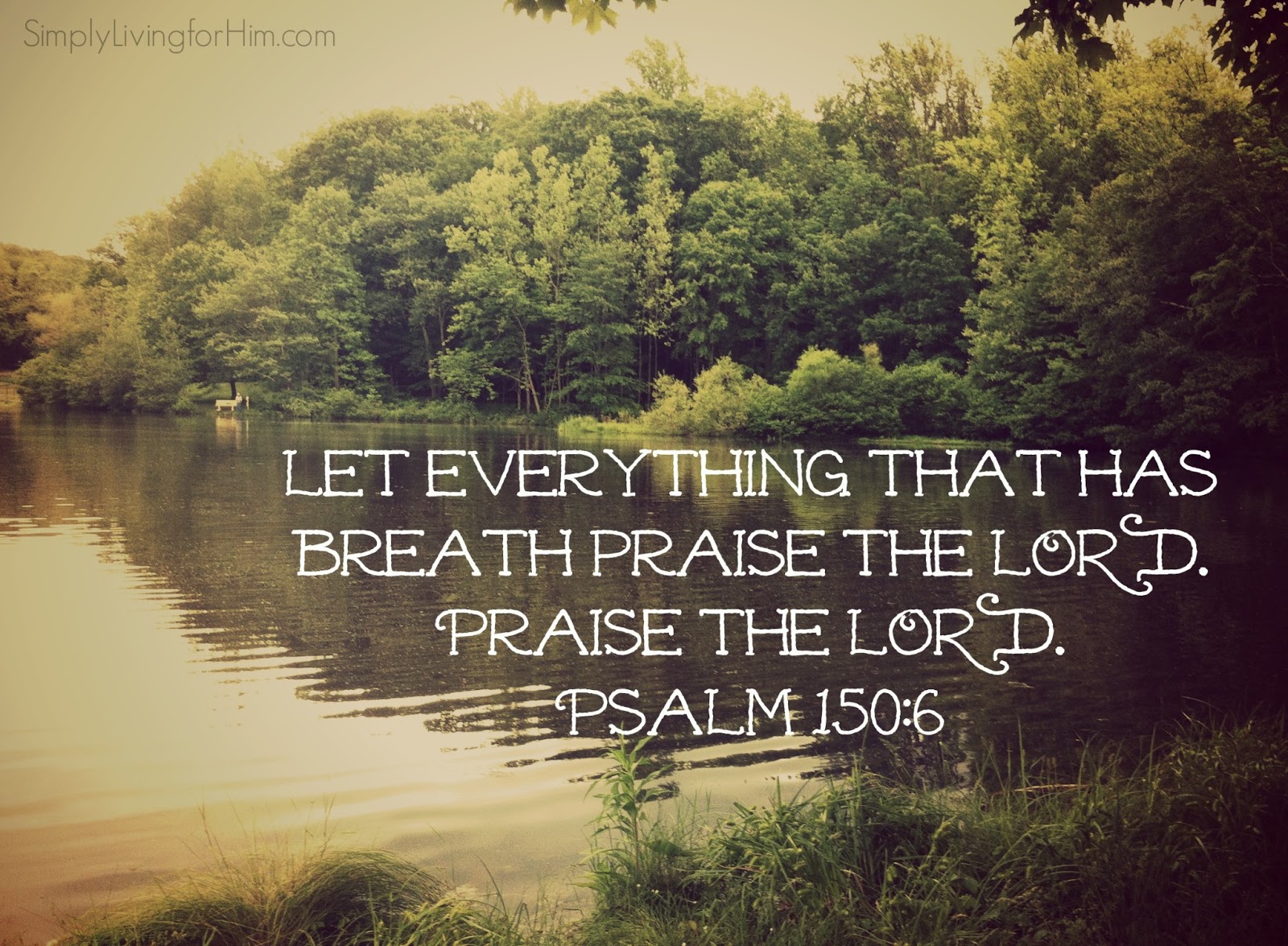 Visits With Mary: Praise Him, Praise Him