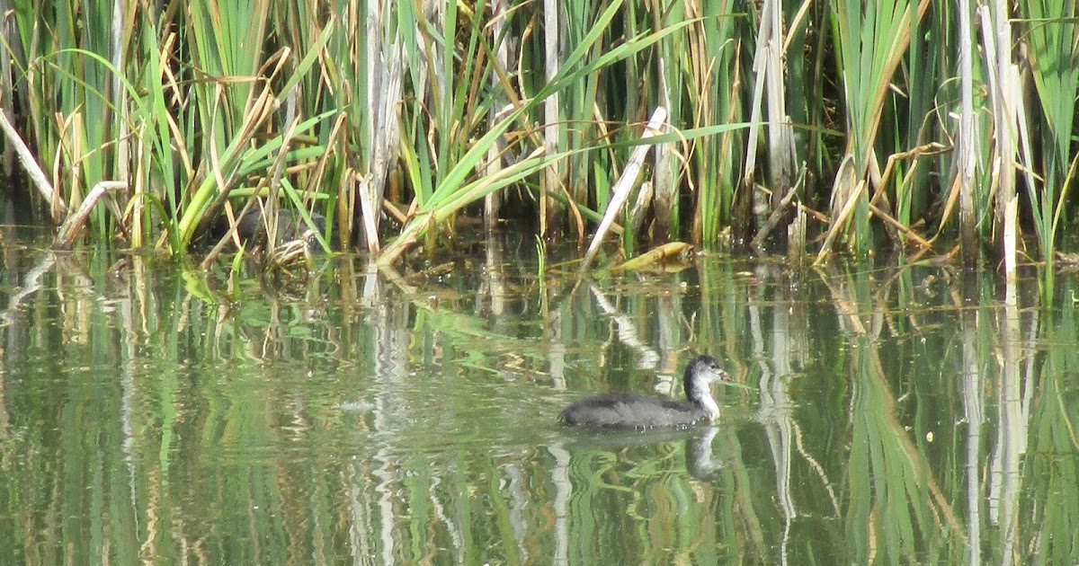 Debbie Jenner : Today...