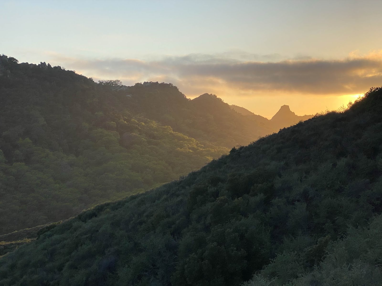 Section Hiking The Condor Trail: Cuesta Pass on the 101 to Adobe TH on ...
